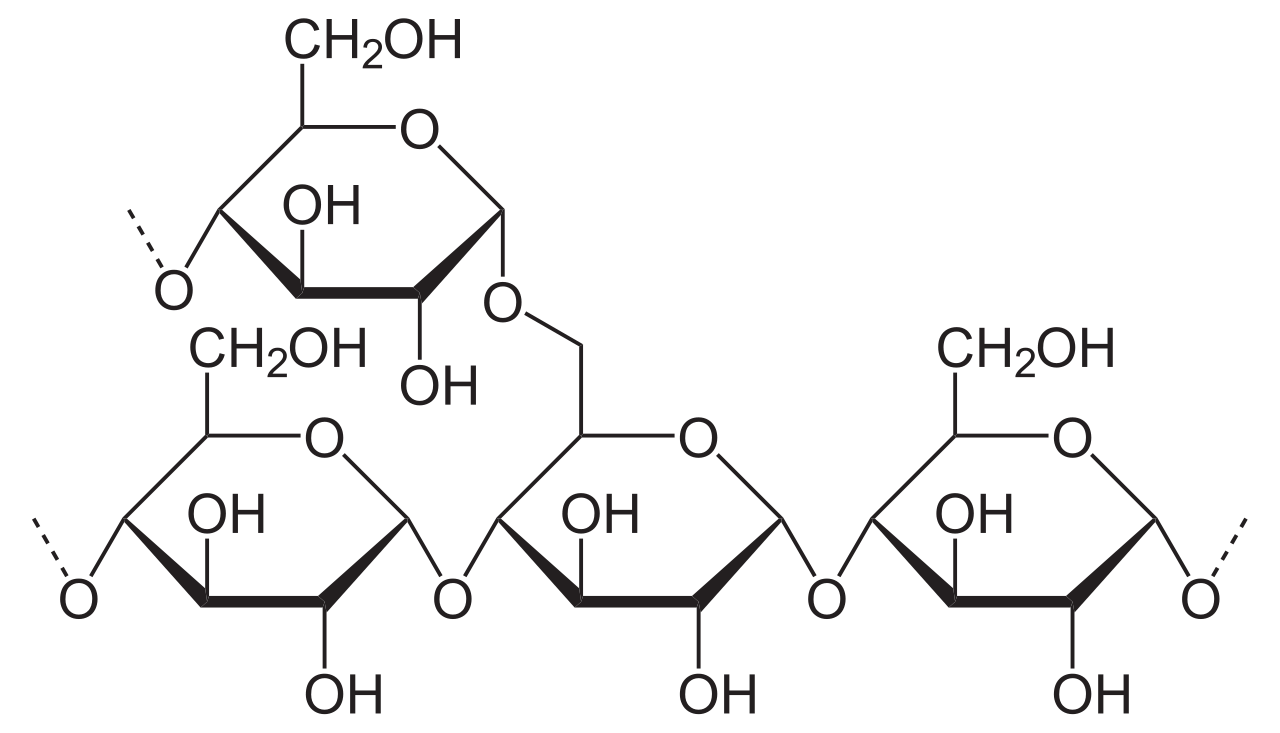 Bazele chimice ale anatomiei și fiziologiei - Biologie Barron's - GinaMed